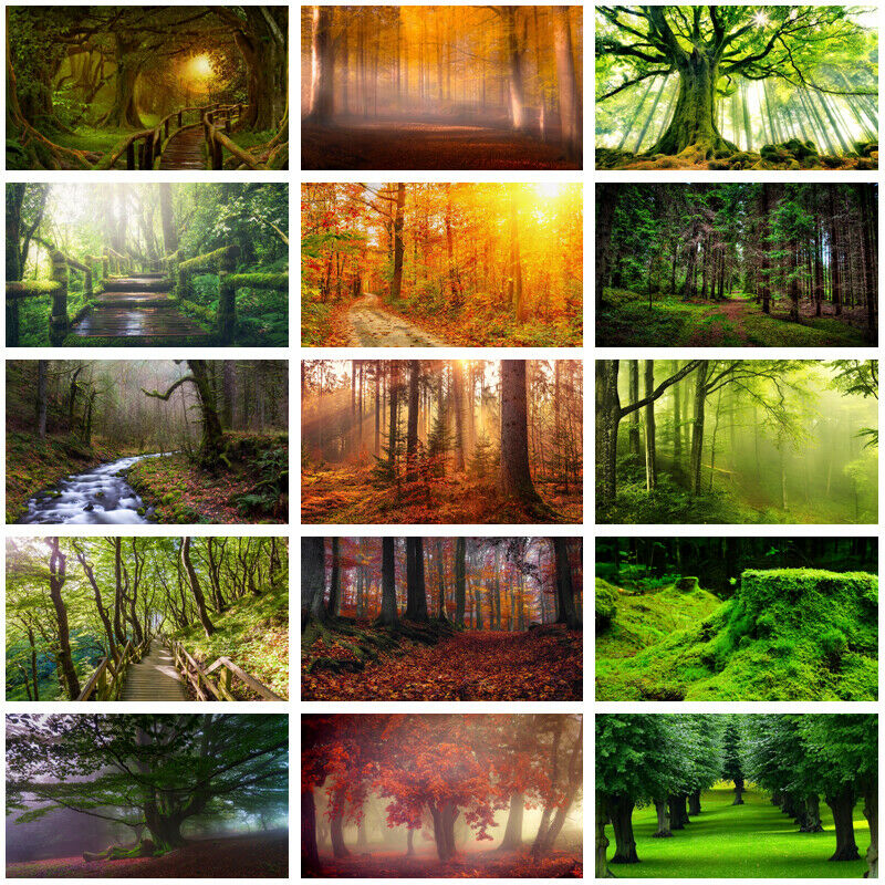 Collage De Tela Paisajes Bosques 🌳 DÍA DEL ÁRBOL, Hoy Rendimos