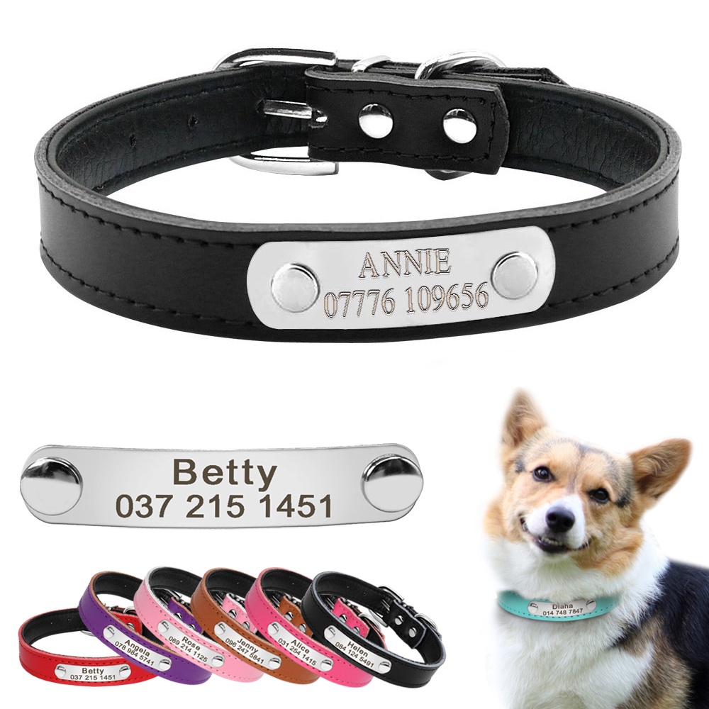 [NORMA] Collar De Perro De Cuero PU Duradero/para Perros Pequeños ...