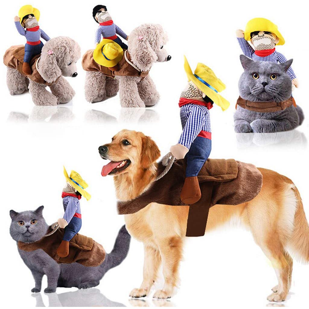 Vaquero Rider Perro Disfraz Para Perros Ropa Caballero Estilo Con ...
