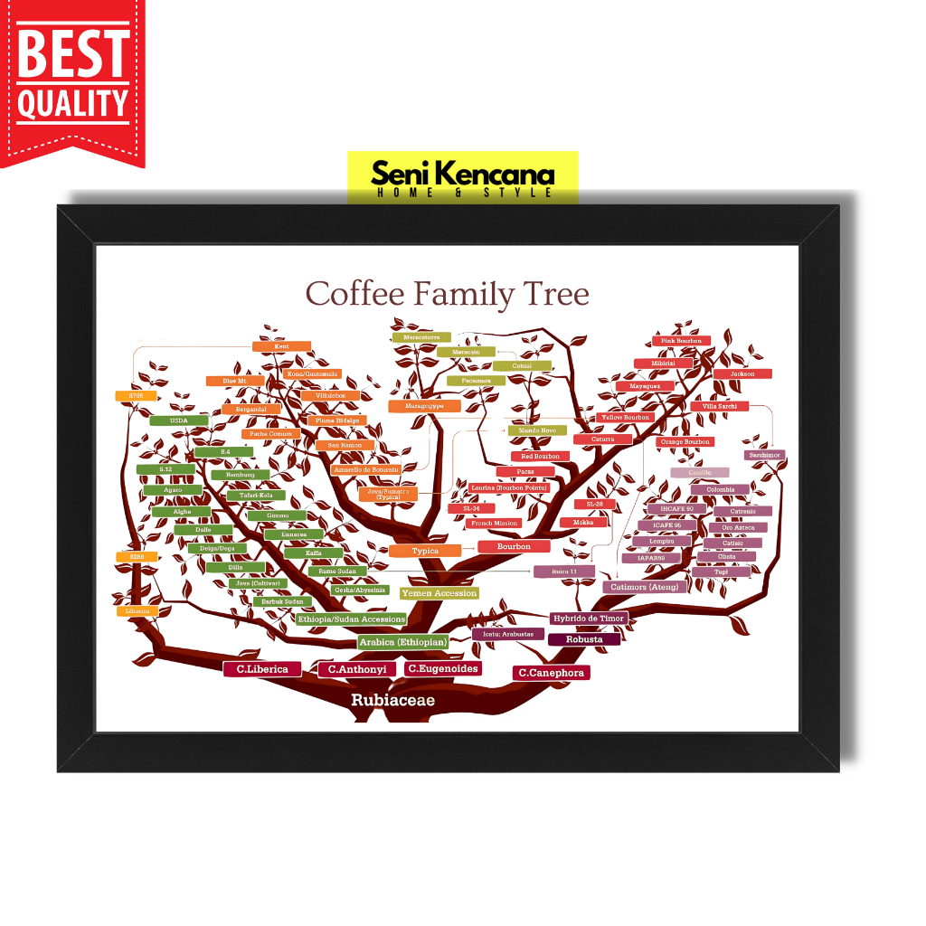 KAYU Coffee Family Tree Póster De Café-Derivado De La Familia Del ...