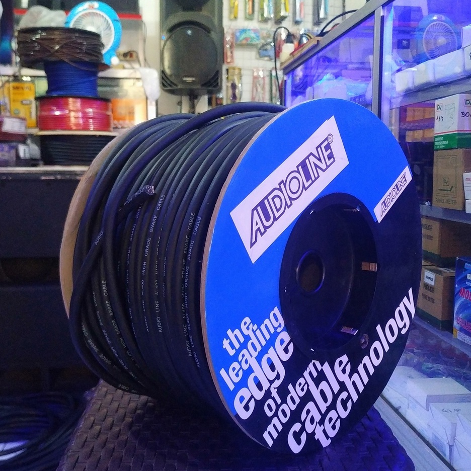 Audioline Paquete De 4 Cables De Entrada 4CH SNAKE Cable (Unidad ...