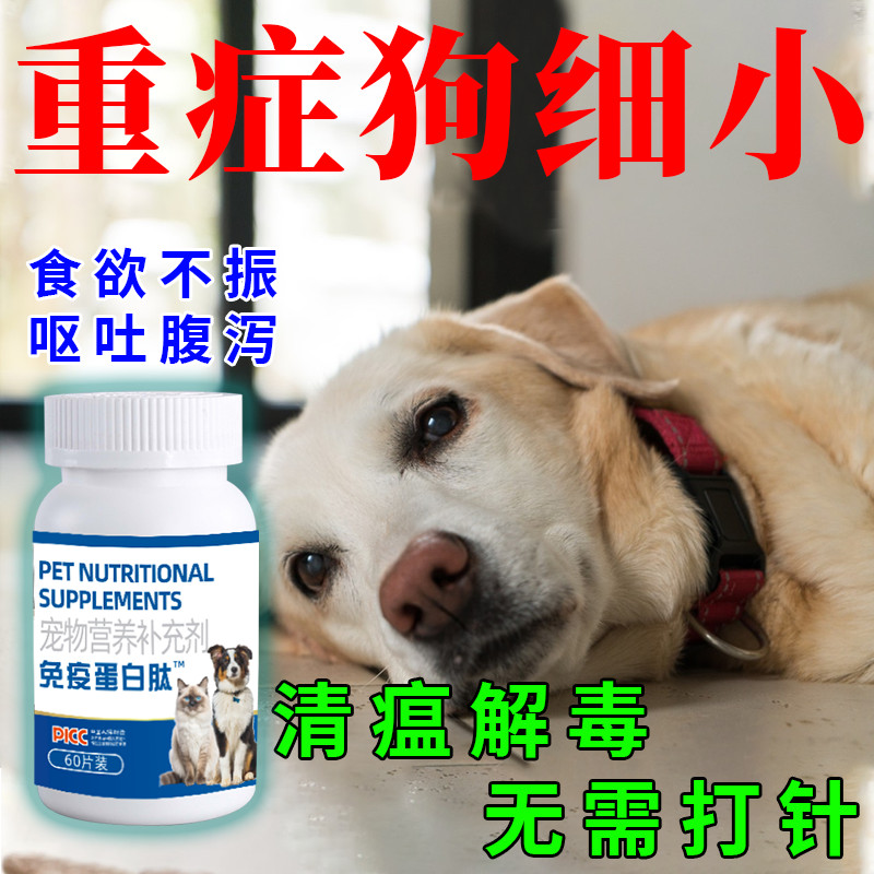 Perro Fine Buster Virus Tratamiento De Primeros Auxilios Cachorros ...