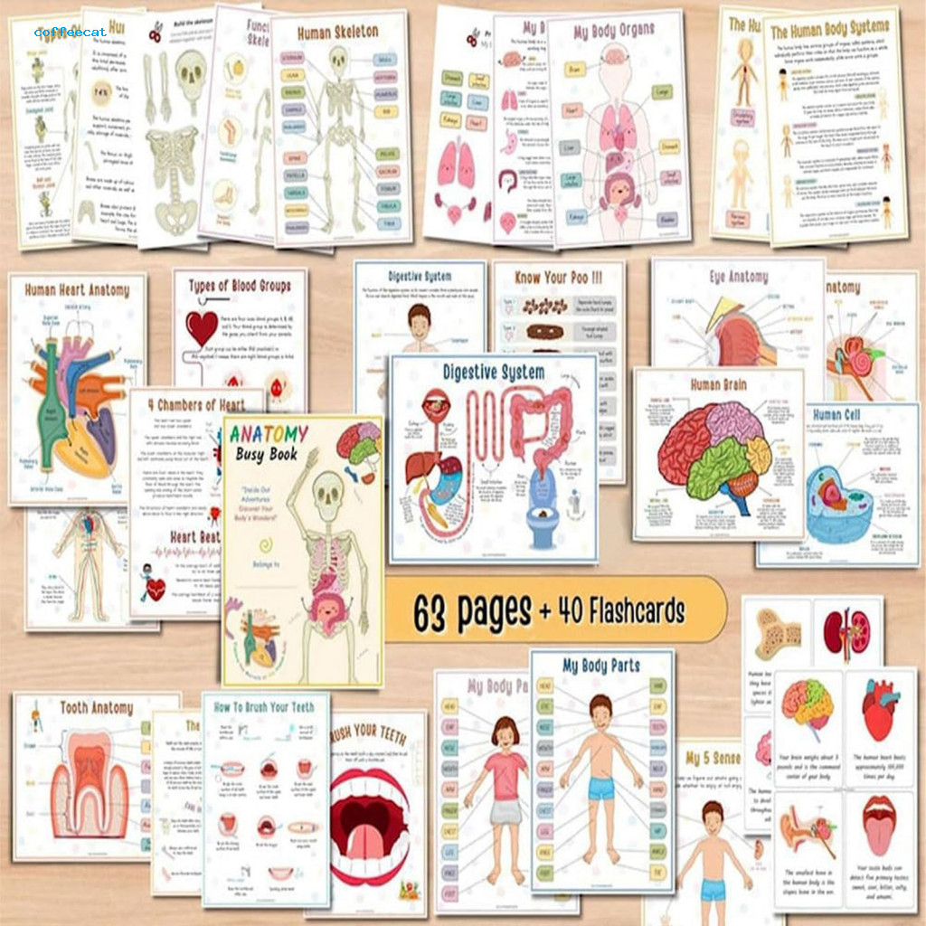 Kids Anatomy Busy Book Children Learning Interactive Body Parts for ...