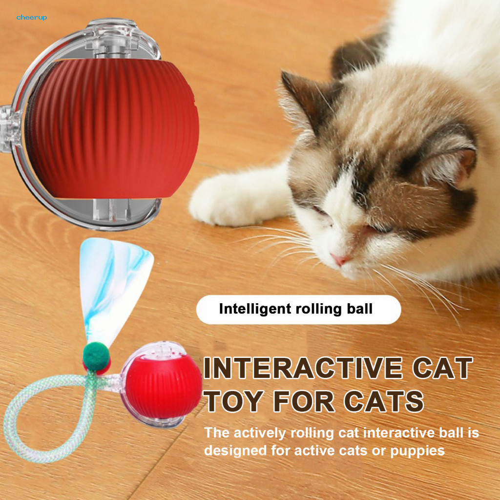 Interactive Cat Toy for Cats Fast Mode Ball Self-moving with Dragonfly ...