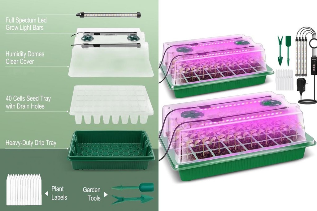 Mini Greenhouse Starter Kit Small Plants Grow Light Full Spectrum Led ...