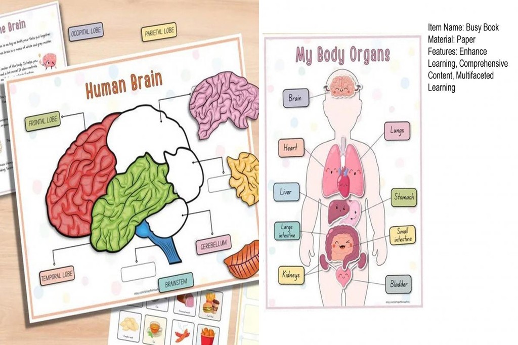 Interactive Children Activity Book Human Body Exploration Anatomy for ...