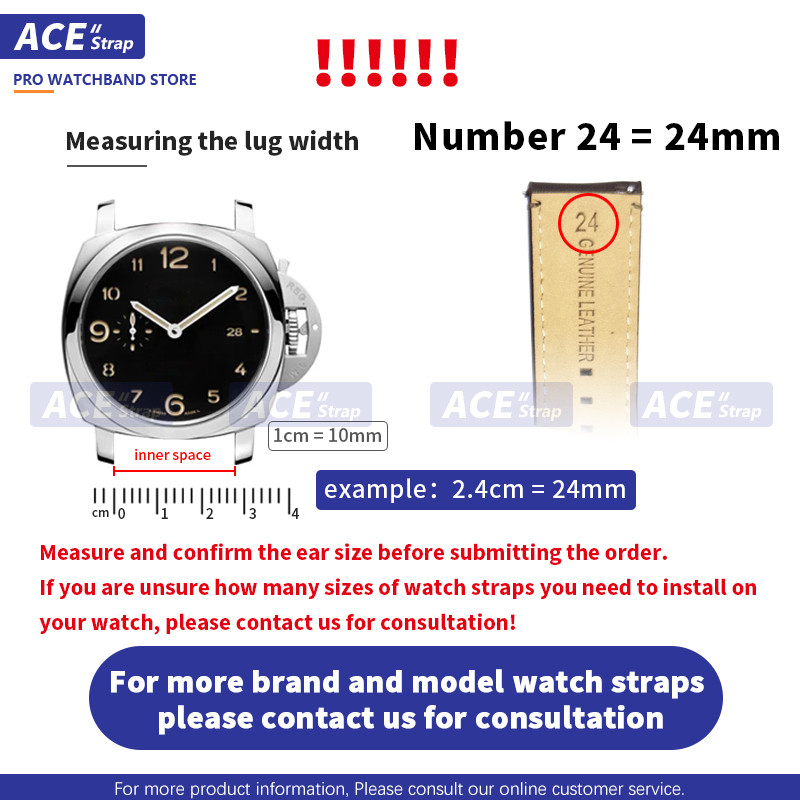 Aplicar A La Correa De Lona De Nylon Hamilton 20mm 22mm | Shopee Colombia